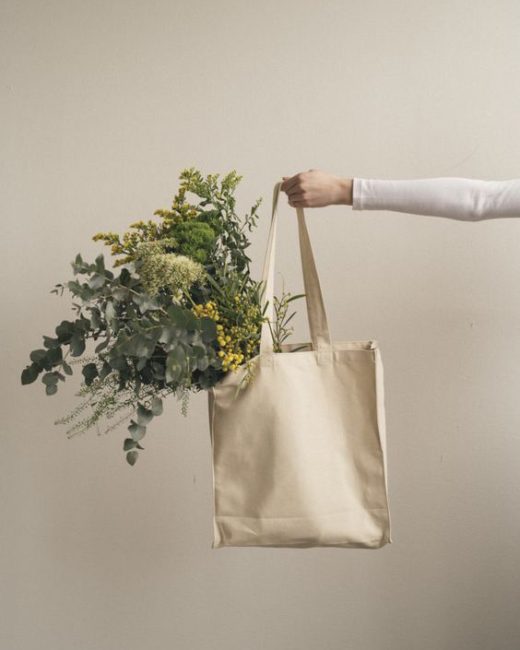 WHY FOUR SEASONS – FOUR SEASONS